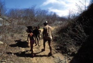 A Seca no Nordeste - Brasil Escola