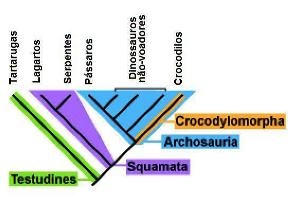 Filogenia: o que é isto? - Brasil Escola