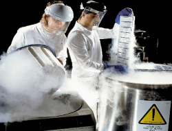 Criogenia - Brasil Escola