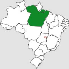 Pará. Estado do Pará - Brasil Escola